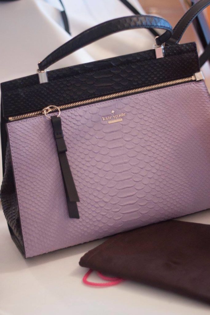 Lauren Roth of Roth Fioretti Attends All Chicago Handbags for Homeless